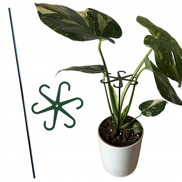 Støtte til planter og blomster Støtte Støtte STRONG Griber med stang ...