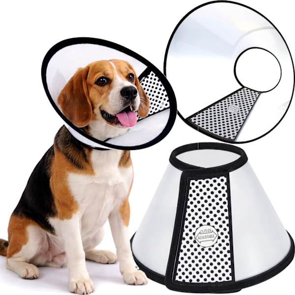 Skyddande, postoperativt halsband för hundar och katter L 32-39 cm Bubu ...