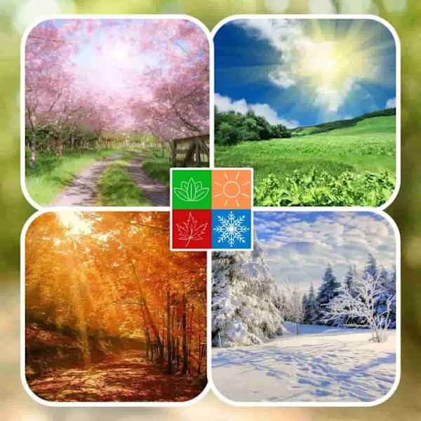 Wellensittichfutter 25 kg Nährstoffreiche Mischung aus Hafer und Hirse ...