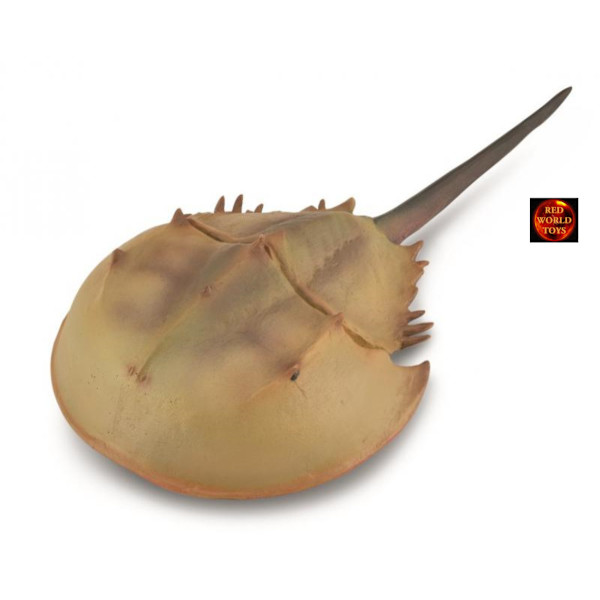 Horseshoe Crab Arthropod Sealife Toy Model Figure by CollectA 88905 ...