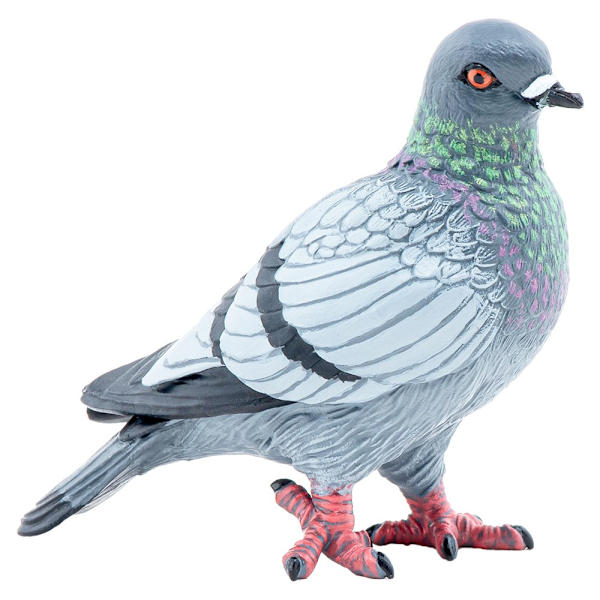 Papo Pigeon Wild Animal Kingdom Figure Collectable Bird Model Toy 50295 ...