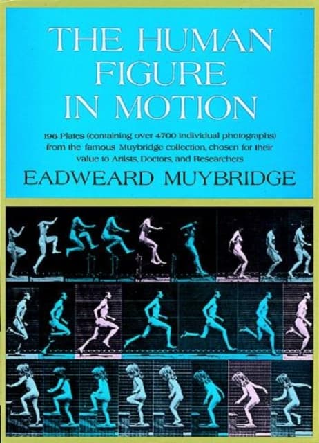 The Human Figure in Motion | CDON