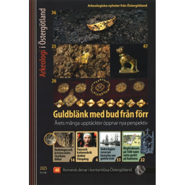 Arkeologi i Östergötland 2025 | CDON