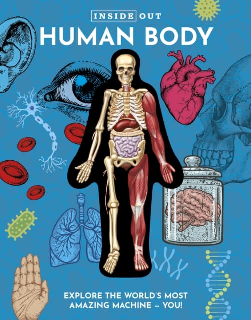 Inside Out Human Body | CDON