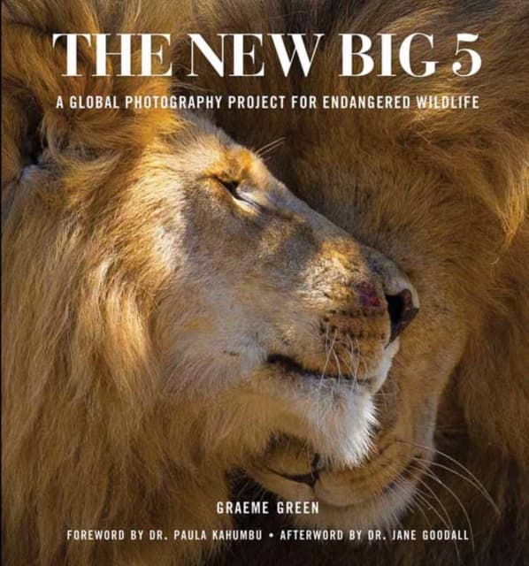 The New Big Five | CDON
