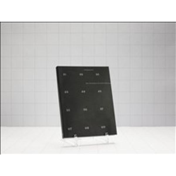 Men i allt det diffusa, får vi ändå ett säkert grepp om omgivningens ...