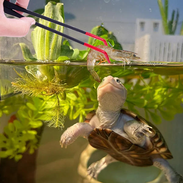 Reptilmatningspincetter - Set med 4 st. fodertänger i rostfritt stål ...