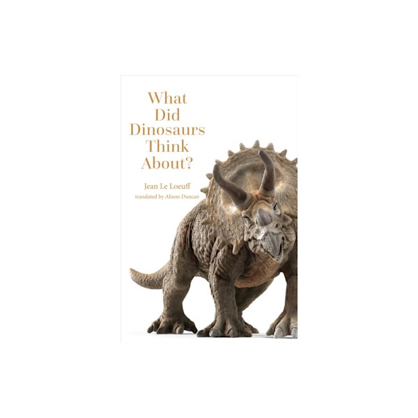 What Did Dinosaurs Think About? (häftad, eng) | CDON