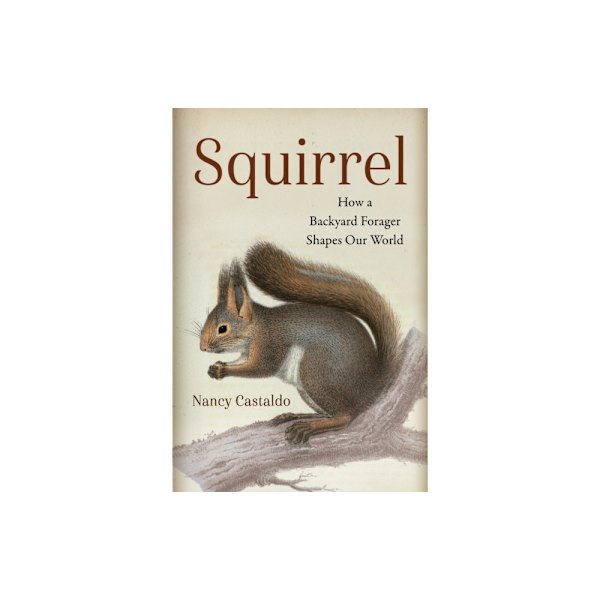 Squirrel (inbunden, eng) | CDON