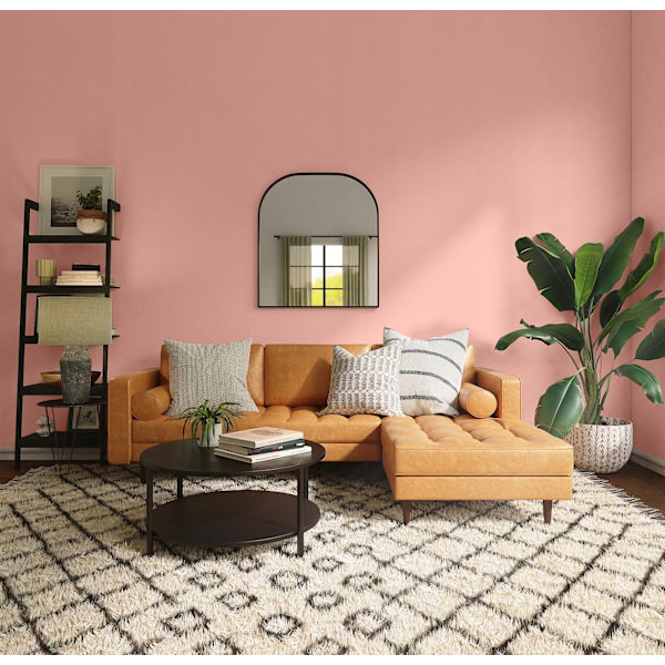 Latexfärg för väggar, rosa, för inomhusbruk, pulverrosa, 10 l, Polen | CDON