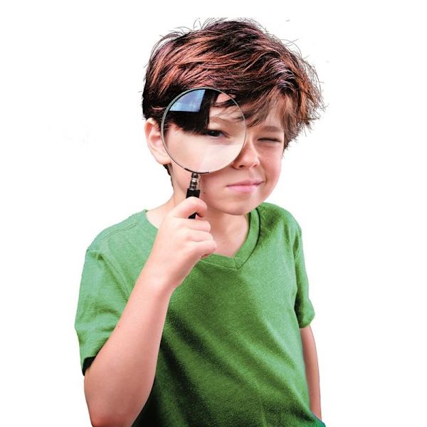 CLEMENTONI Minerals And Geodes (Nordic) | CDON